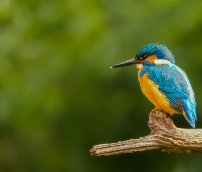 Már nem csak a tetőre telepíthetünk napelemet - Kalauz